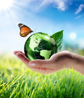 Eco-Friendly Electronics: Pioneering a Sustainable Digital Future ...